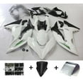 Mad Hornets 2-DAY Injection Fairing Kit Plastic Fit for Kawasaki Ninja ...