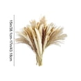 Gallickan 15-17in Faux Pampas Grass Decor Set with Metal Stalk and Silk ...