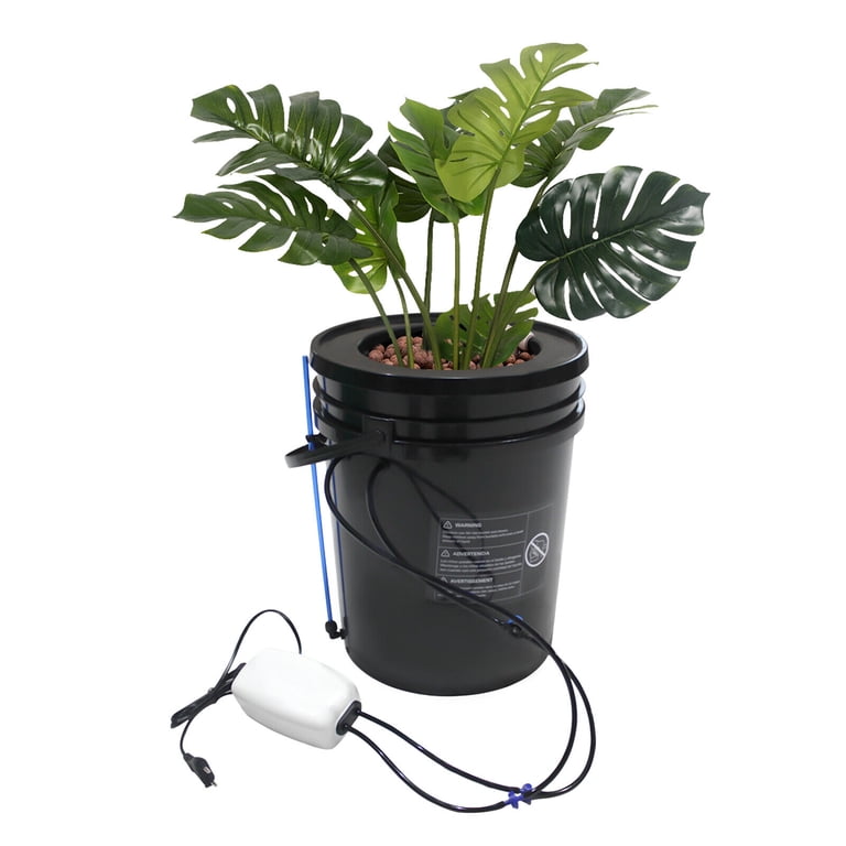 DWC Hydroponic System 5 Gallon 5-Gallon DWC Hydroponics Grow System ...