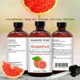 Majestic Pure Grapefruit Essential Oil for Diffuser, Therapeutic Grade ...