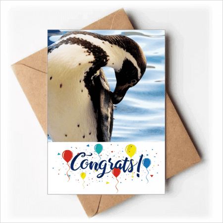 Ocean Antarctic Penguin Science Nature Picture Wedding Cards ...