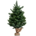 Costway 2 FT Pre-Lit Tabletop Fir Christmas Tree 35 LED Lights Timer ...
