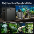 Rocita Aquarium Water Chiller 75GAL 1/3HP Fish Tank Chiller, 300L ...