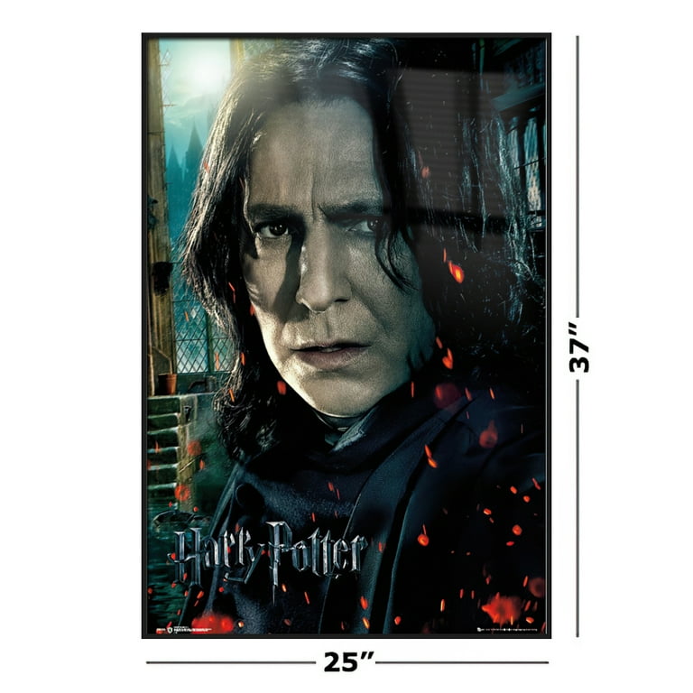 Snape Deathly Hallows