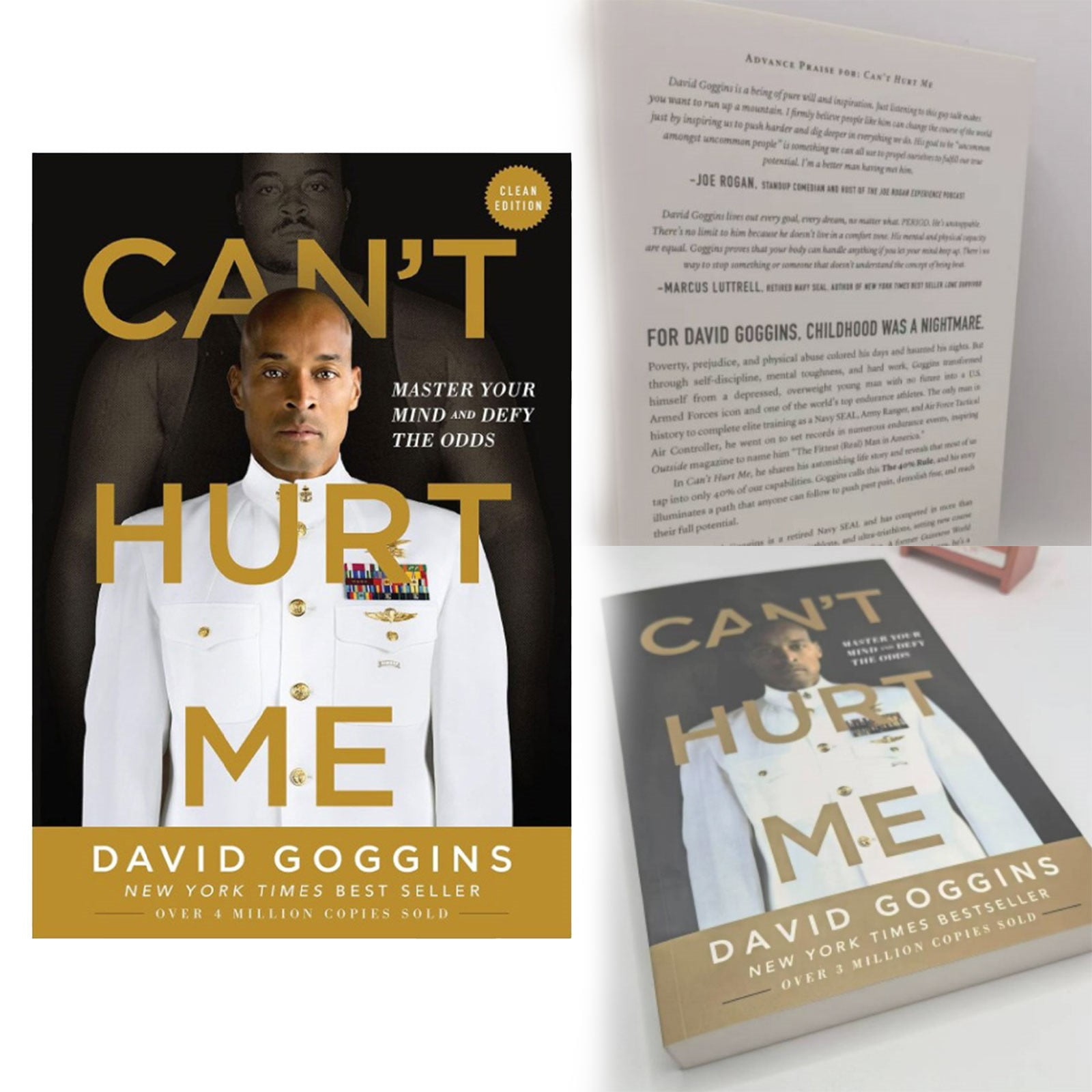 Click here for Present Selected Books Cant Hurt Me: Master Your M... prices