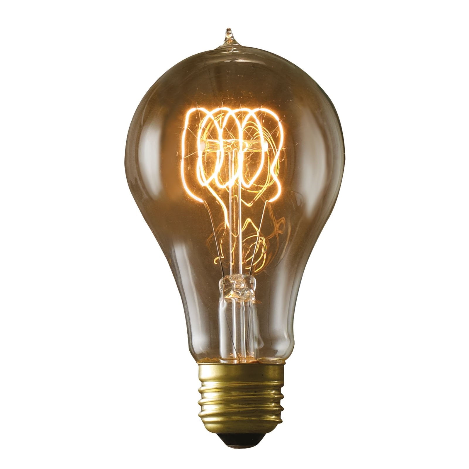Bulbrite Incandescent Victorian Loop Filament Light Bulb, Warm White ...