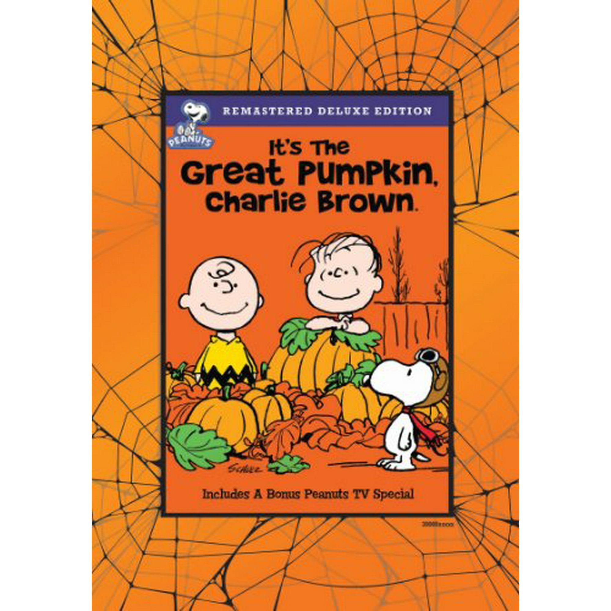 Click here for Warner Home Video Grtpumpkincharlie Bd prices