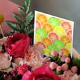 3drose, Citrus Scallop Pattern, 6 Greeting Cards with Envelopes ...