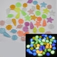 Yangka Luminous Sea Shell & Starfish Decorative Stones, Glow-in-the ...