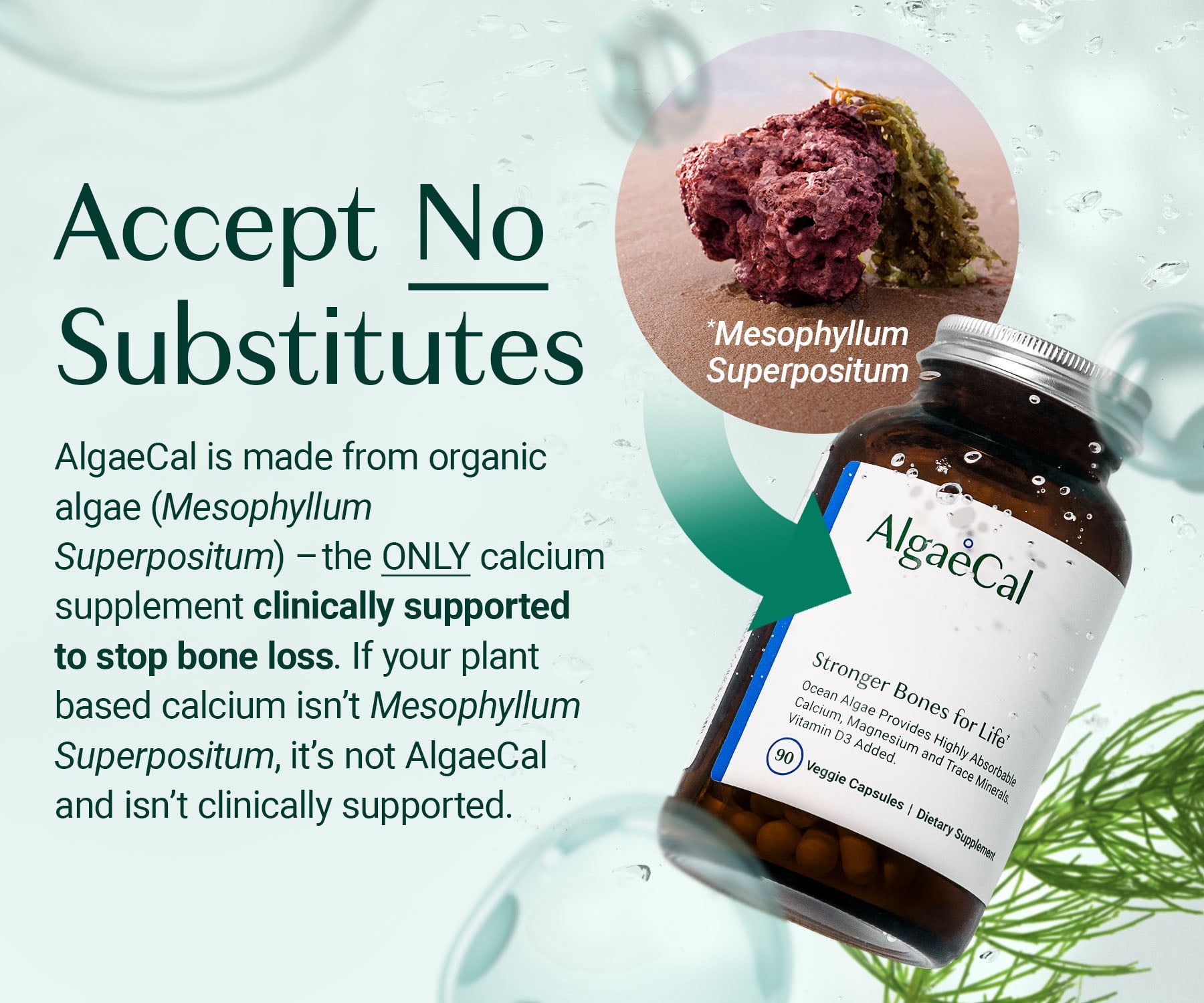 AlgaeCal - Clinically Supported Plant Based Calcium Philippines | Ubuy