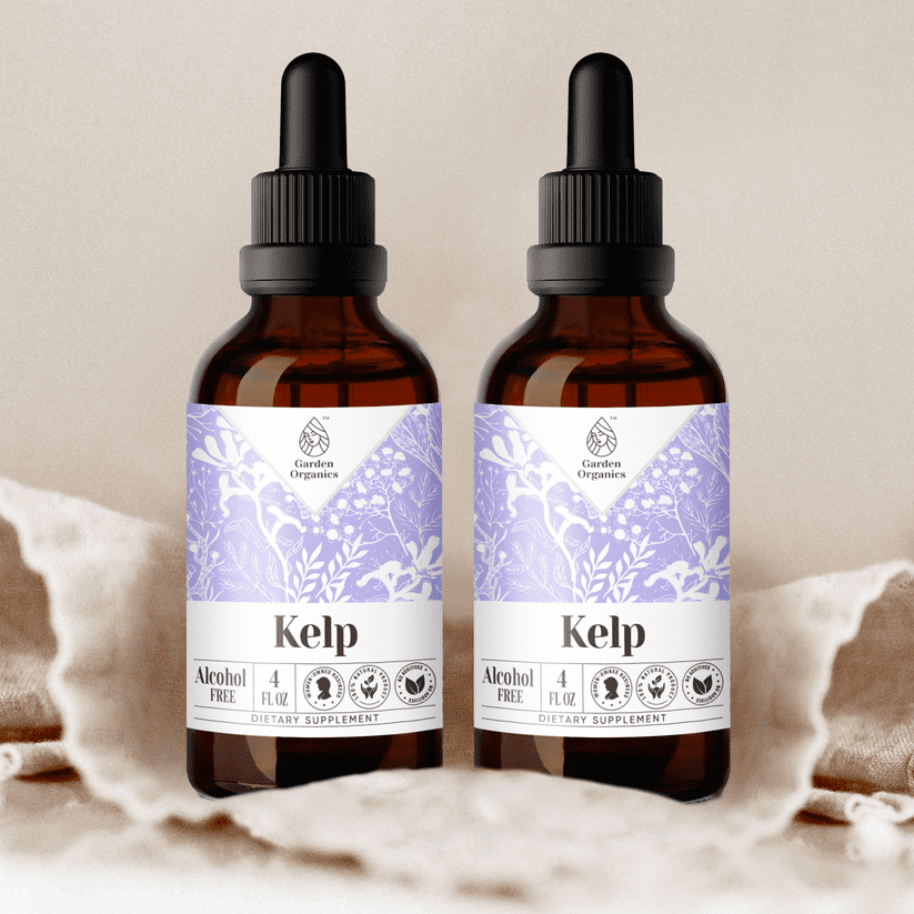Garden Organics Kelp Tincture Alcohol-FREE Extract, Organic Kelp ...