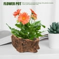 Bonsai Planter Gift Boxes Stump Log Small Flowerpots - Walmart.com