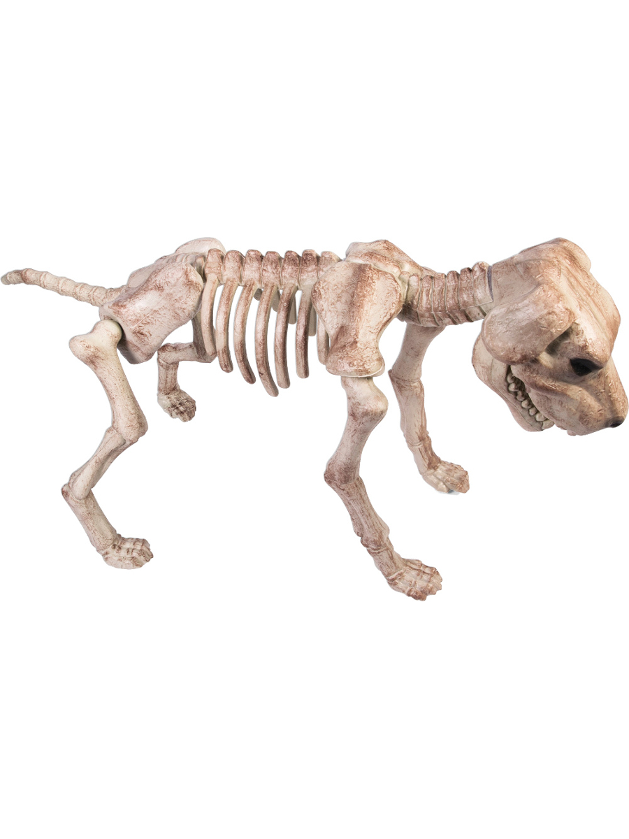 Dog Skeleton Halloween Decoration | canoeracing.org.uk