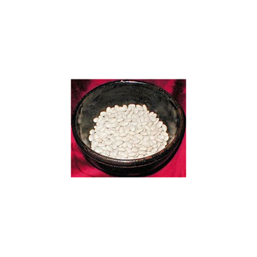 Pinto Bean Seeds - 1 Lb - Also called Shell Pinto or Shelling Pinto ...