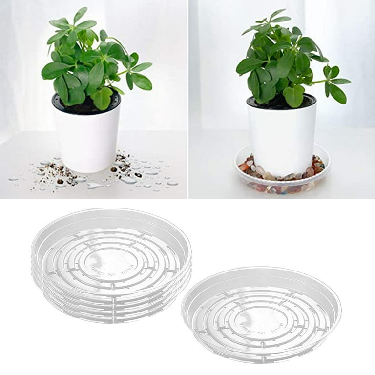 Water Trays for Plants: Boost Your Greenery's Growth!