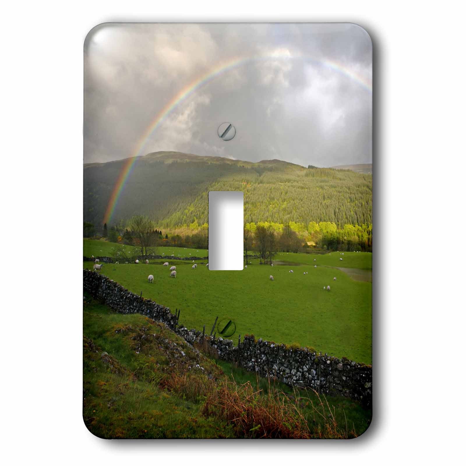 Scotland, Scottish Highlands, Rainbow, Sheep - EU36 DSL0002 - David ...