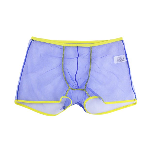 EFINNY Men's Sexy Mesh Sheer Bulge Pouch Trunks Boxer Briefs - Walmart.com