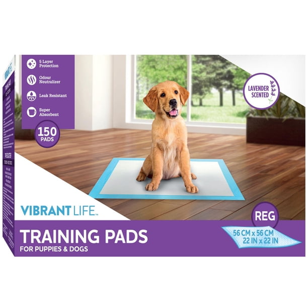 Vibrant Life Dog Pee Pads and Puppy Training Pads Lavender Scented - 'L ...
