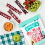 GoodPop 100% Fruit Juice Pops No Sugar Added Non-GMO 15ct - Walmart.com