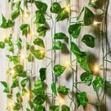 BrightSide LED Cascading Curtain Vine Indoor Lights, Warm White, 3.5ft ...
