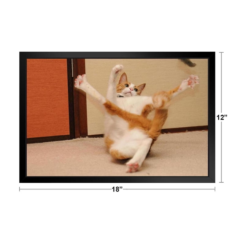 Breakdancing Cats