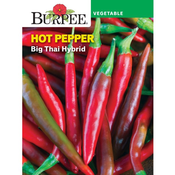 Burpee Big Thai Hybrid Hot Pepper Vegetable Seed, 1-Pack - Walmart.com ...