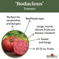 Burpee Bodacious Hybrid Tomato Vegetable Seed, 1-Pack - Walmart.com