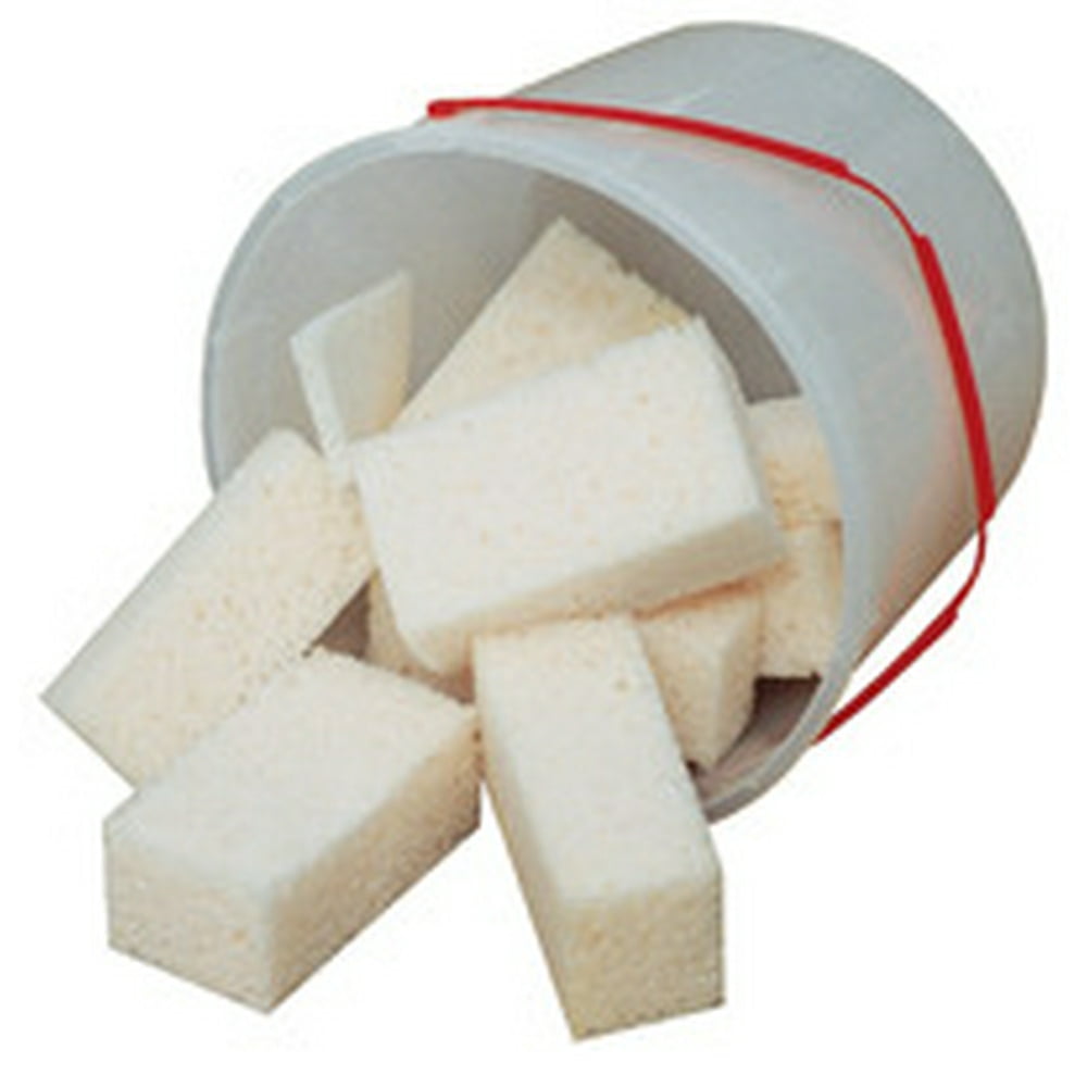 Bucket and Sponge Assortment, 2 x 3 x 1 Inches - Walmart.com - Walmart.com