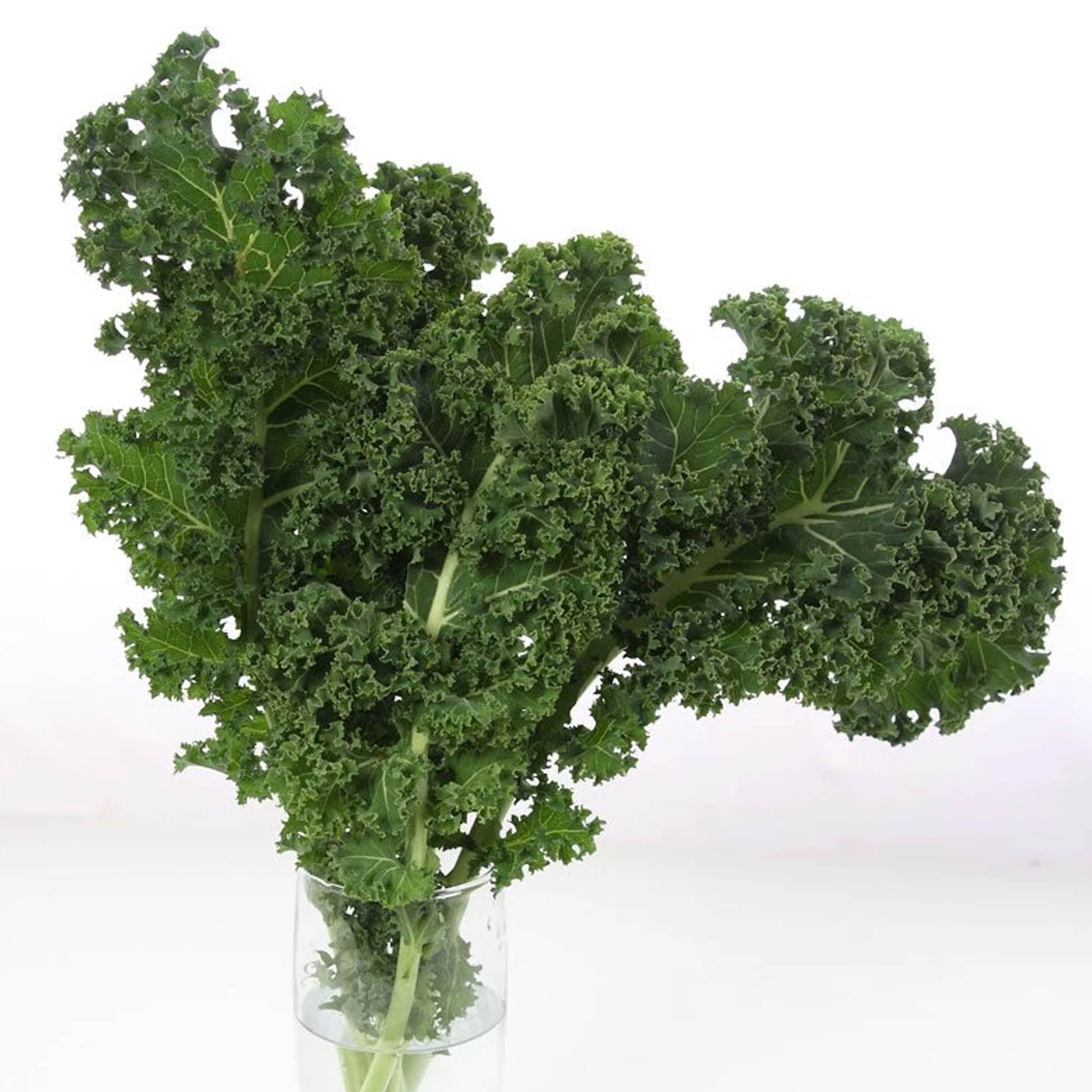 Organic Vates Blue Curled Kale - 25 LB Bulk ~3,200,000 Seeds - Non-GMO ...
