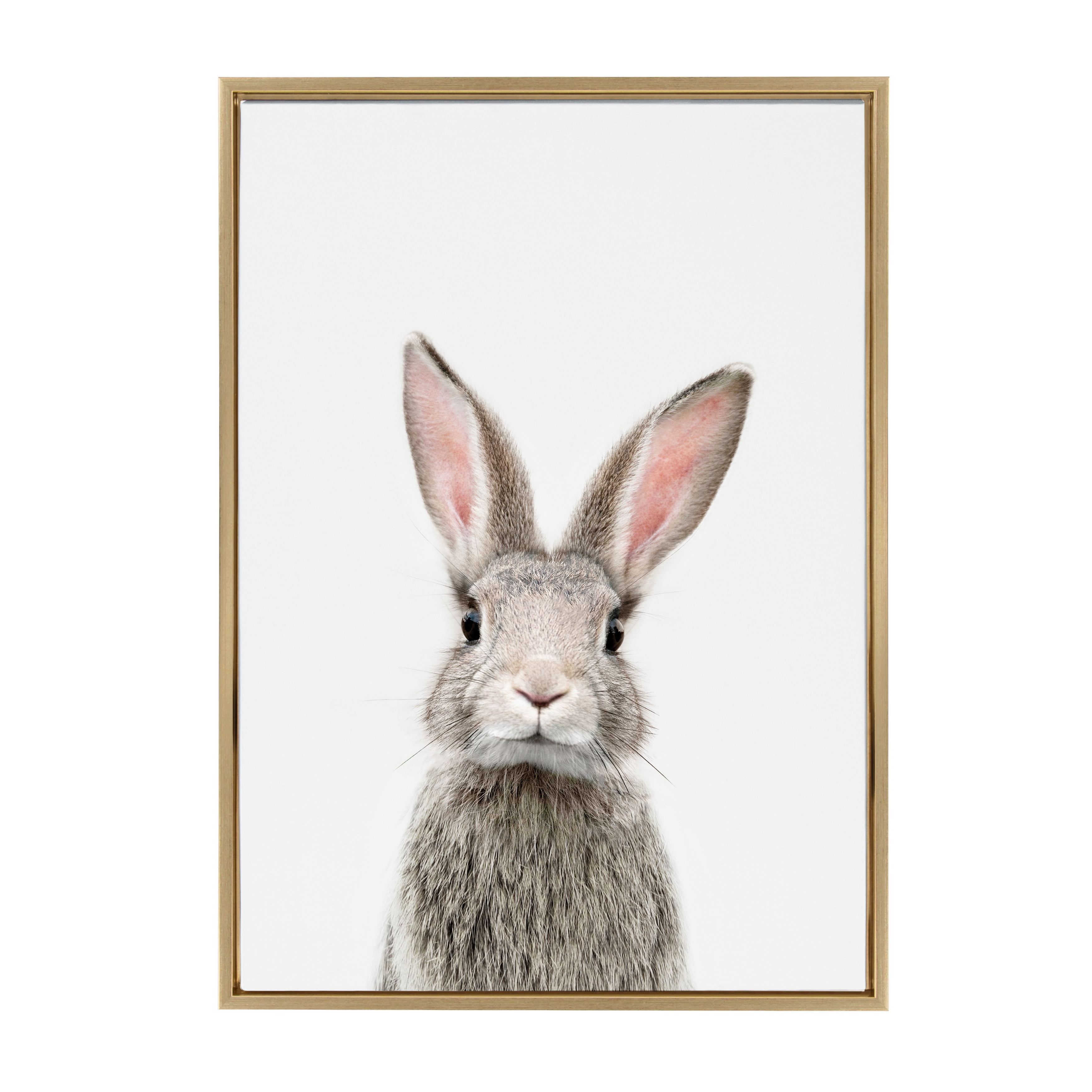 Kate and Laurel Sylvie Female Baby Bunny Rabbit Animal Print Portrait ...