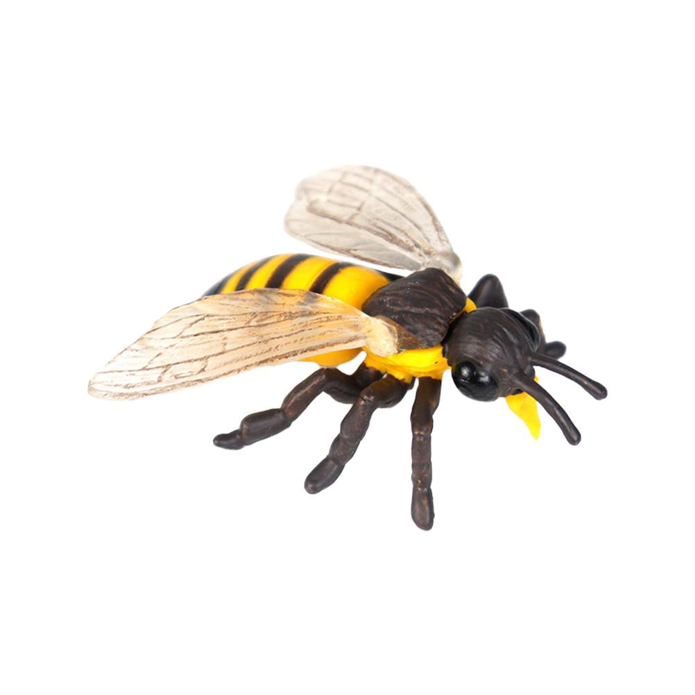 Modelo De Insecto Simulado Modelo De Insecto Realista Insecto De ...