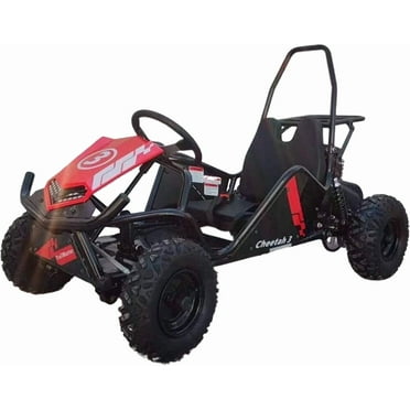 Gas Powered Go Kart for Kids, 79cc 2.5HP 4-Stroke Off Road Go Kart ...