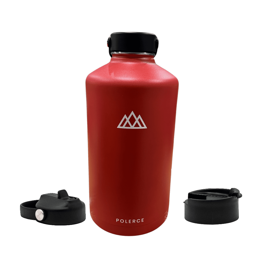 Vacuum Insulated Bottle with 3 Lids - Stainless Steel Thermally ...