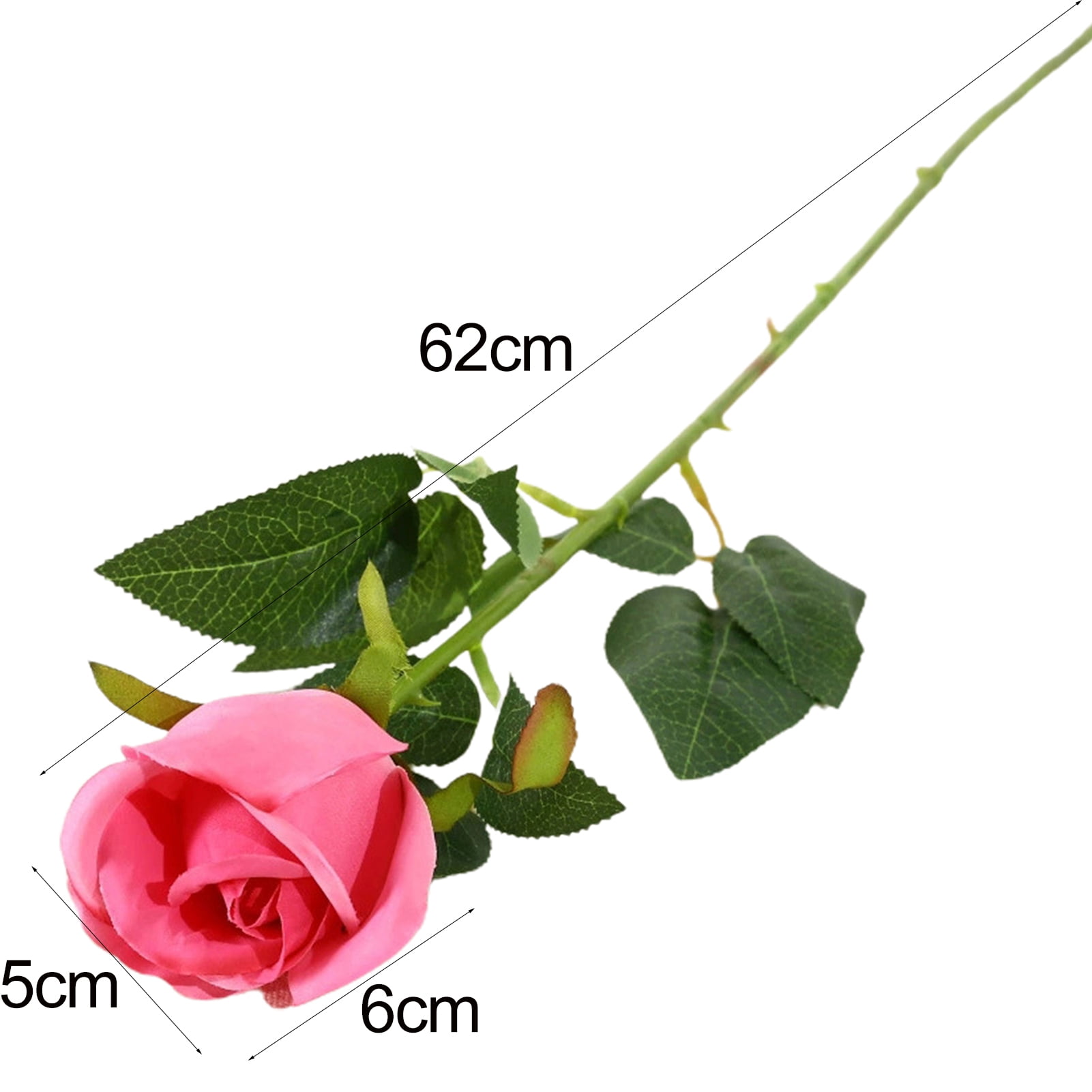 Translucent Beautiful Single Red Rose
