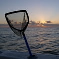 Cuda 29" Baitwell Replaceble Net, 5.5" Depth, Black, for Fishing, 1 ...