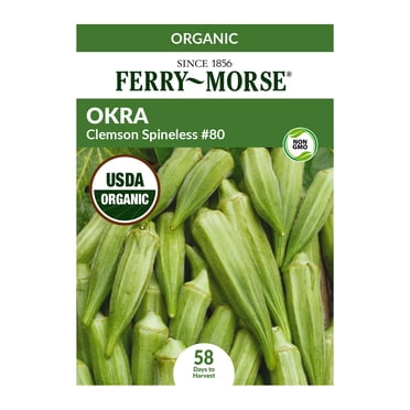 Slow Bolt Cilantro Herb Garden Seeds - 3 Gram Packet - Non-GMO ...
