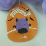 Squishmallows Joldy the Bat with Soft Plush Belly, Shimmering Wings ...