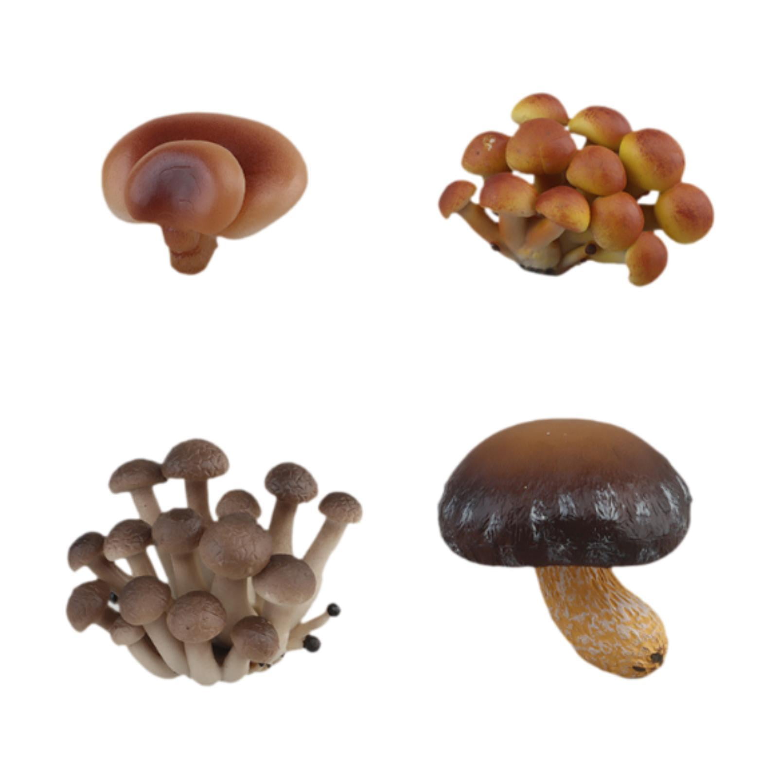Click here for Bunblic Mushroom Growth Cycle Toy Set Early Educat... prices