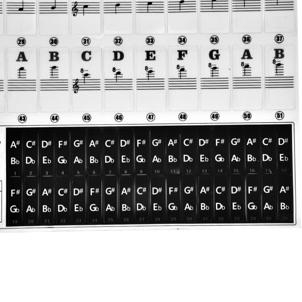 PVC Piano Key Sticker, Piano Sticker, For Piano Teachers Piano Learners ...