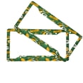 Green_Bay Custom 4-Hole Football License Plate Frame (Set of 2 ...