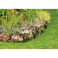 Elgo 6 Micro Sprinklers Set for use with Garden Hose - Walmart.com