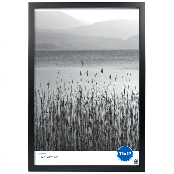 11X17 Poster Frames