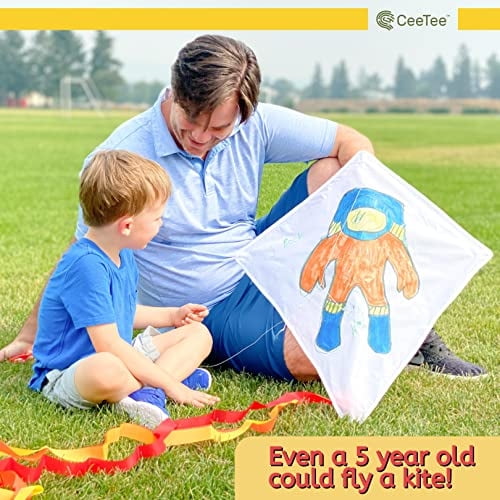 Kit de Cometas CeeTee para niños 3 Cometas fáciles de volar | Bodega Aurrera en línea