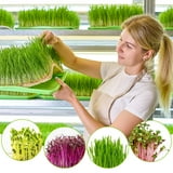 10Pcs Hemp Mats for Growing Microgreens, Jute Fiber Grow Mat Hydroponic ...
