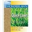 Barenbrug 3 lbs. Quick Grass Seed - Walmart.com