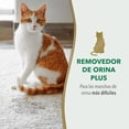 Nature’s Miracle Urine Destroyer Plus for Cats, Enzymatic Formula Tough ...