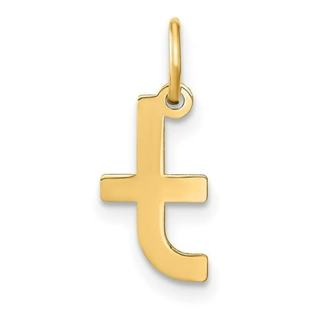 Quality Gold XNA1384Y-T 14K Yellow Gold Lowercase Letter T Initial ...