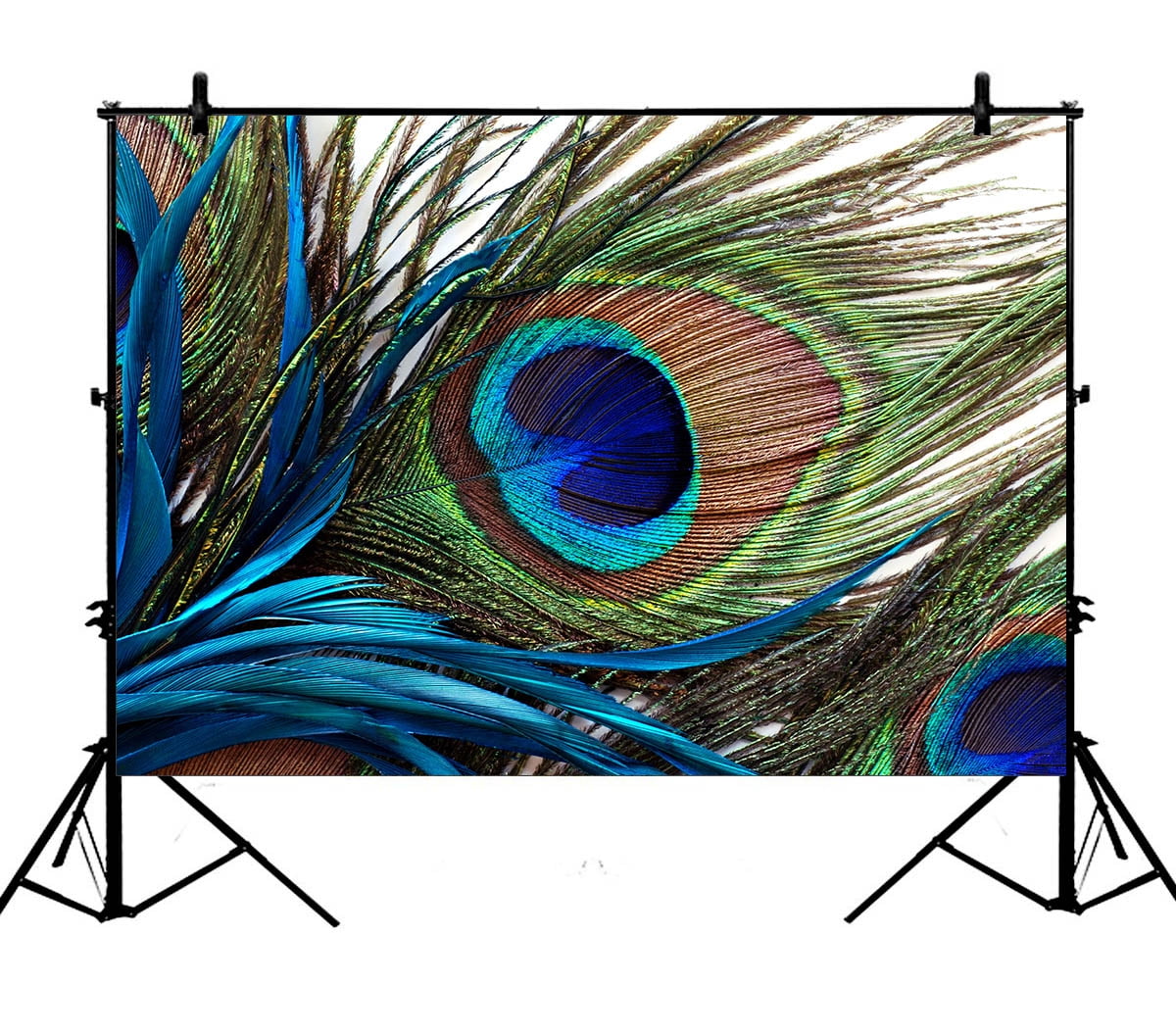 GCKG 7x5ft Peacock Photography Backdrop,Peacock Polyester Photography ...