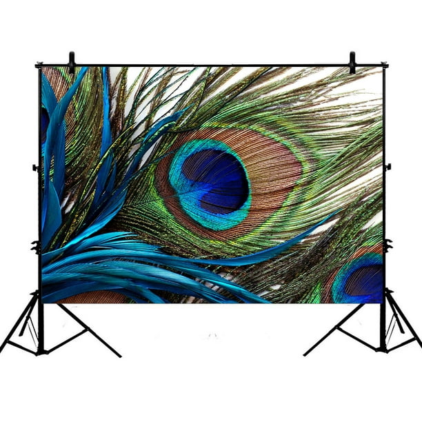 GCKG 7x5ft Peacock Photography Backdrop,Peacock Polyester Photography ...