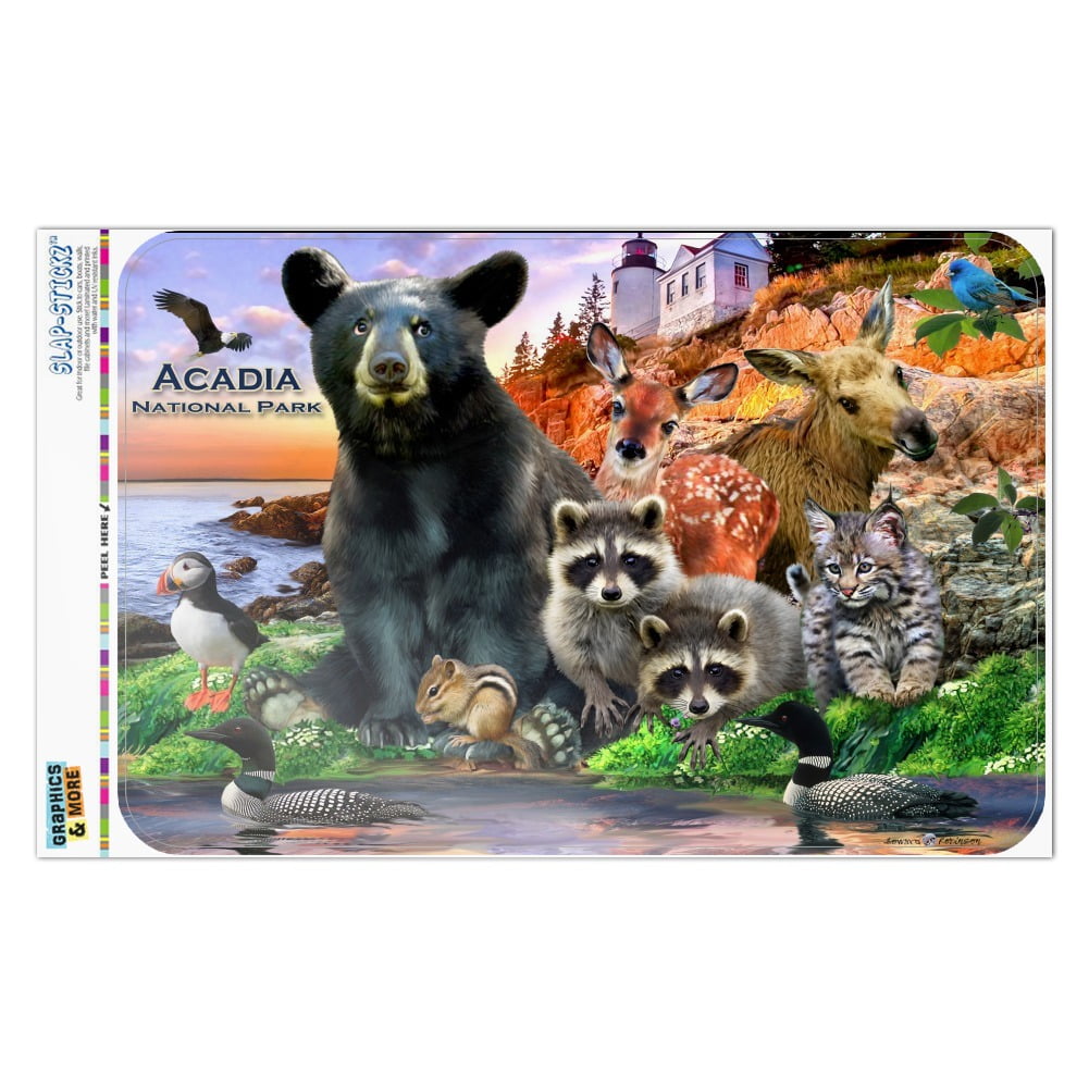 Acadia National Park Maine ME Animals Bear Racoon Deer Moose Home ...